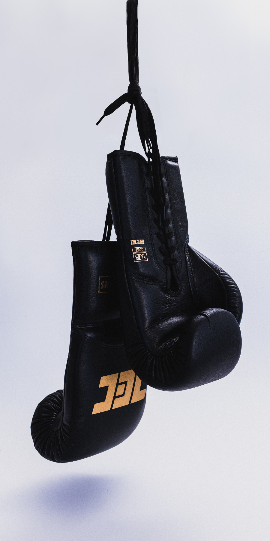 The Complete Guide to MMA Weight Classes - Techniques