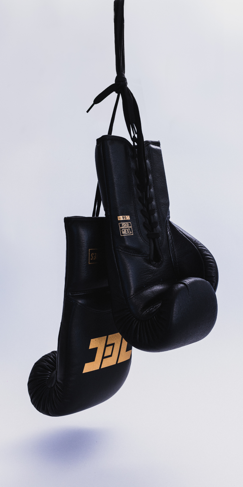 The Complete Guide to MMA Weight Classes - Techniques