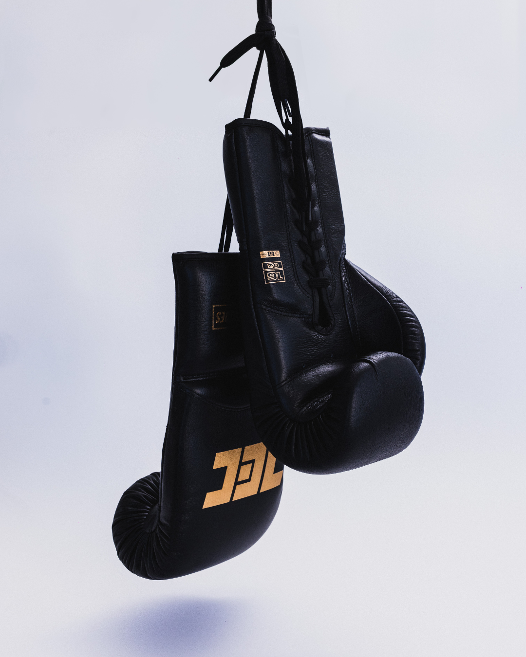 Professional TEC Lace-Up Boxing Gloves - Techniques